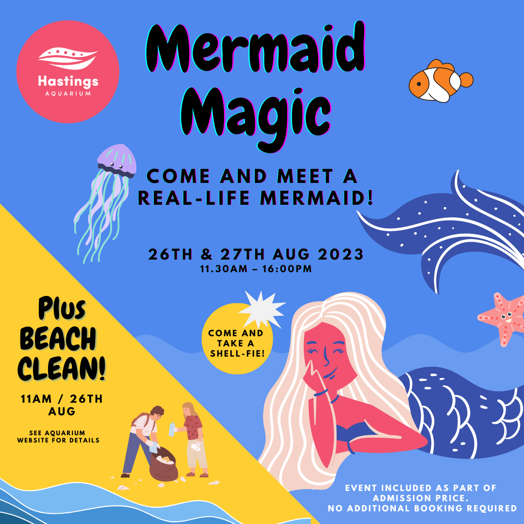 MEET A REAL-LIFE MERMAID THIS SUMMER HOLIDAY! - Hastings Aquarium